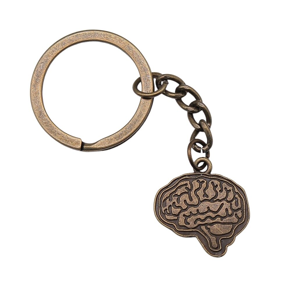 2D Anatomical Brain Keychain – Psych Outlet